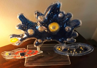 Amoeba Paramecium Model Plastic