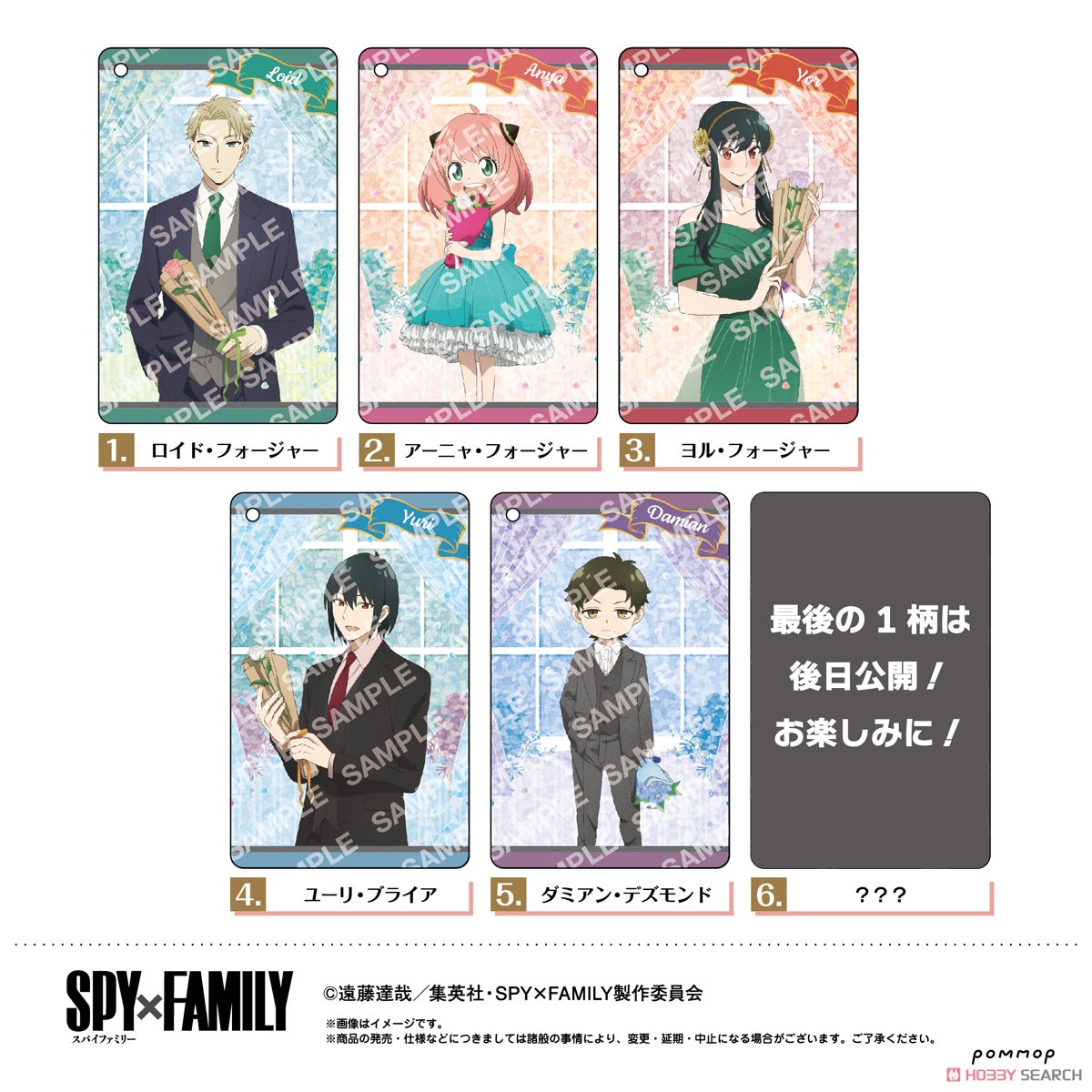 Spy x Family Visual Card Key Ring Collection (Set of 6) (Anime Toy ...