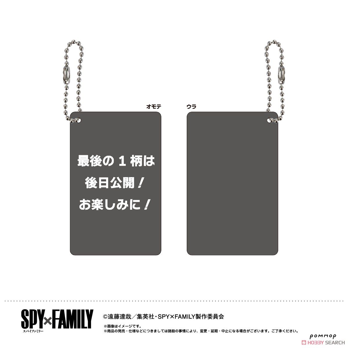 Spy x Family Visual Card Key Ring Collection (Set of 6) (Anime Toy ...